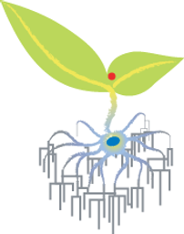 Academic Family Tree - Open Collective