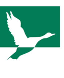 Goose Green Mutual Aid - Open Collective