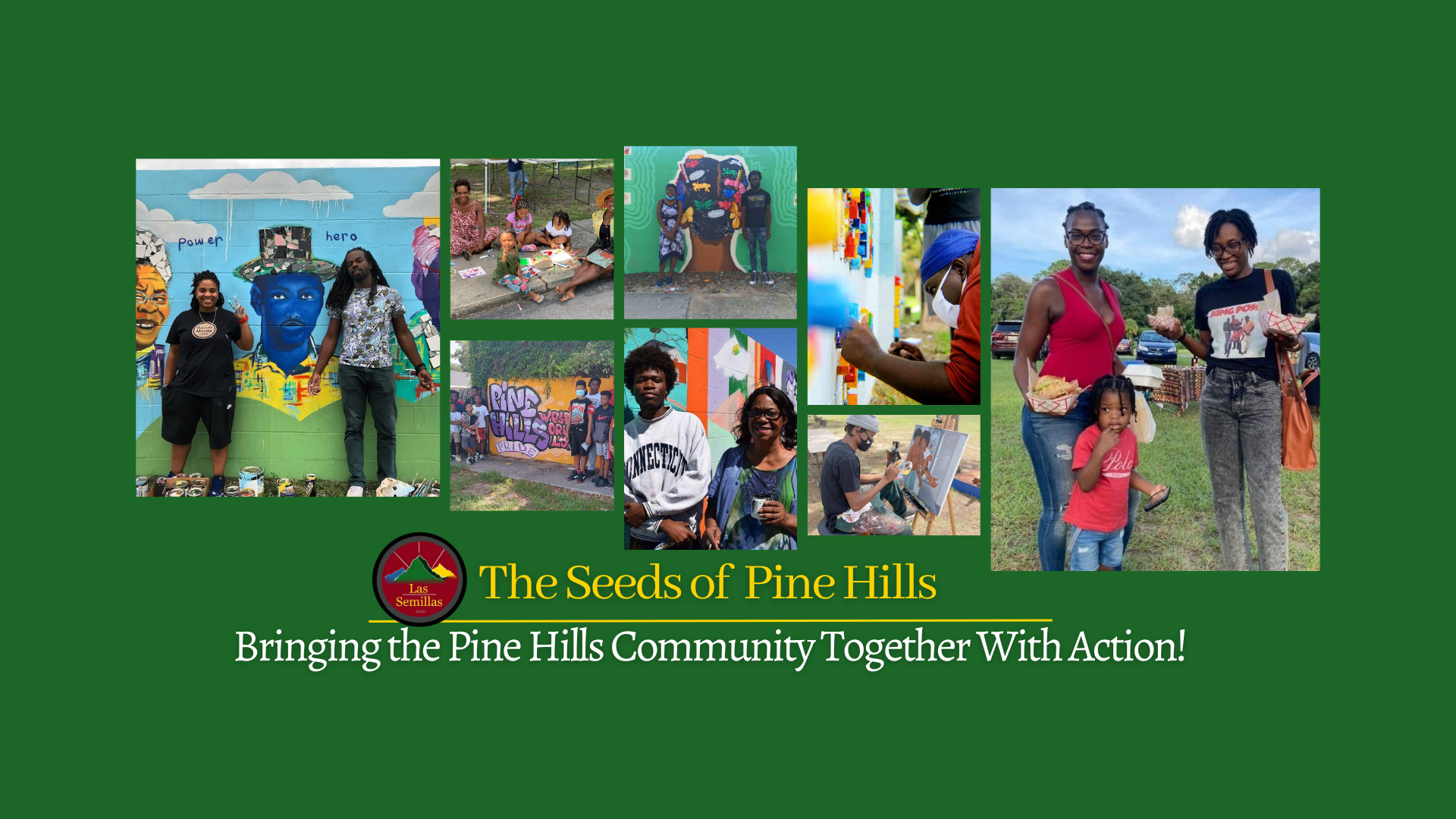 The Seeds of Pine Hills - Open Collective